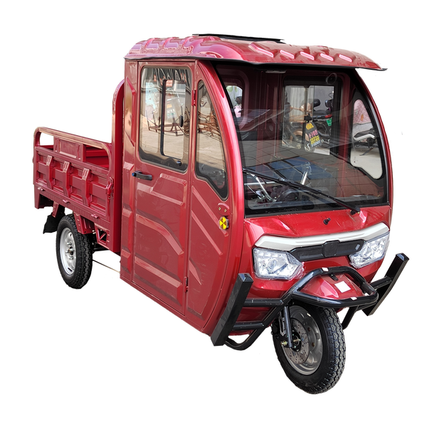 Eborn Cargo Cat 3 V1